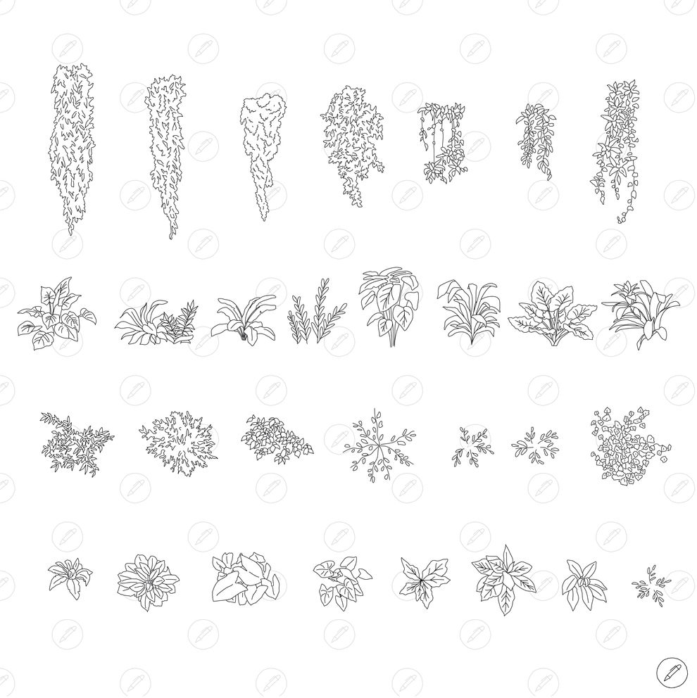 Cad & Vector - Vines and Plants – CAD Lab Studio